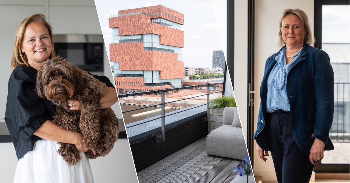 Hoe het Eilandje uitgroeide tot allerduurste buurt van Antwerpen: “Gert ...