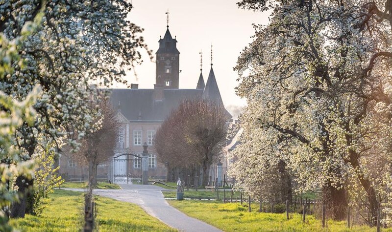 Van schilderen tussen de bloesems tot Bent Van Looy om 6 uur ’s ...