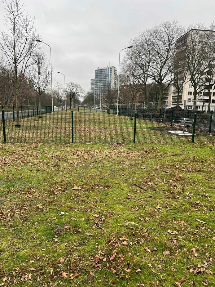 Nieuwe hondenloopzone op Linkeroever | Antwerpen | hln.be