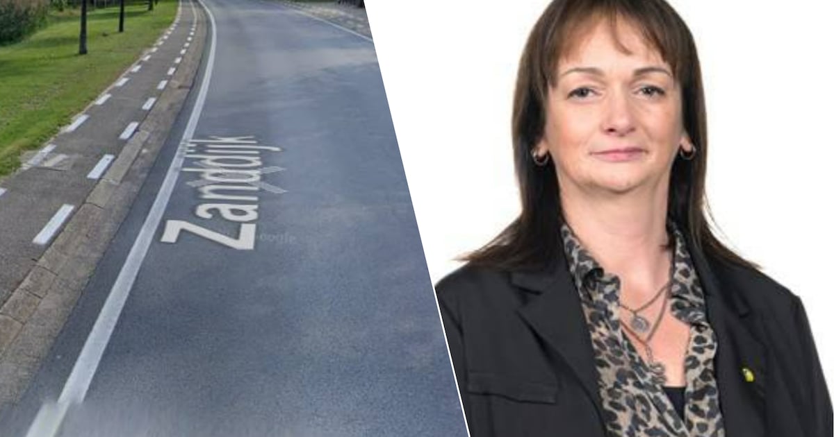 Veerle Van der Veken (Vlaams Belang) pleit voor veiligheid voet- en ...