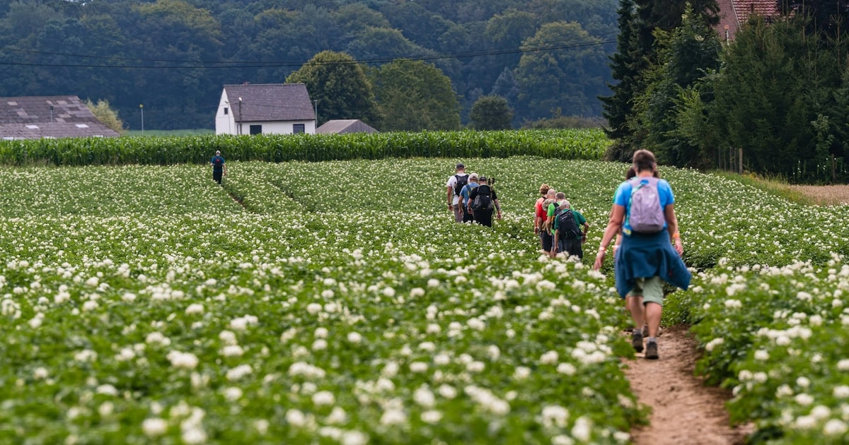 36ste Brillanttochten brengen je doorheen Pajottenland | Pajottegem ...