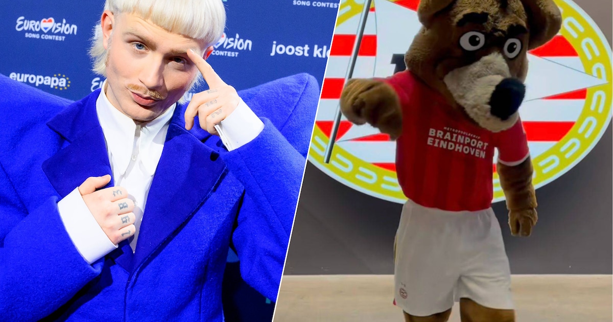 Van Phoxy tot aan influencers: deze Brabanders hakken op ‘Europapa ...