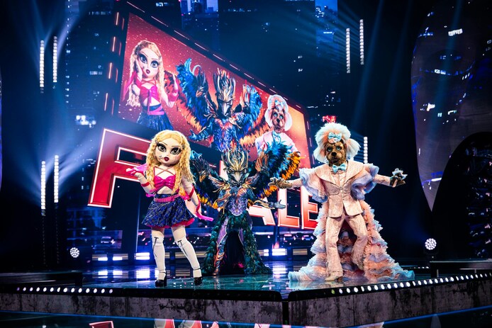 KIJK. Feniks, Labradoodle of Poppemie, wie wint straks ‘The Masked ...