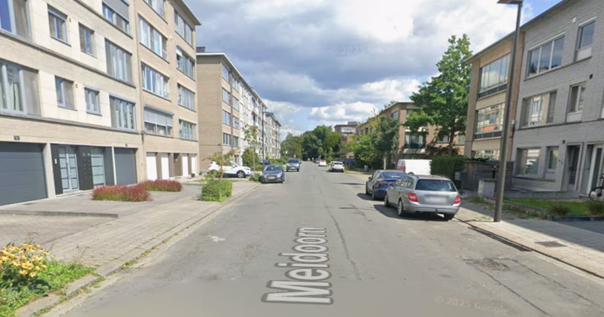 Binnenkort onderhoudswerken aan riolering omgeving Meidoorn: tijdelijk ...