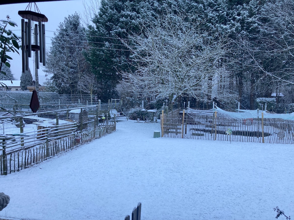 Tremelo bedekt onder wit laagje | Tremelo | HLN.be