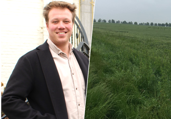 Kluisbergen stimuleert faunavriendelijk maaien met een gemeentelijke ...