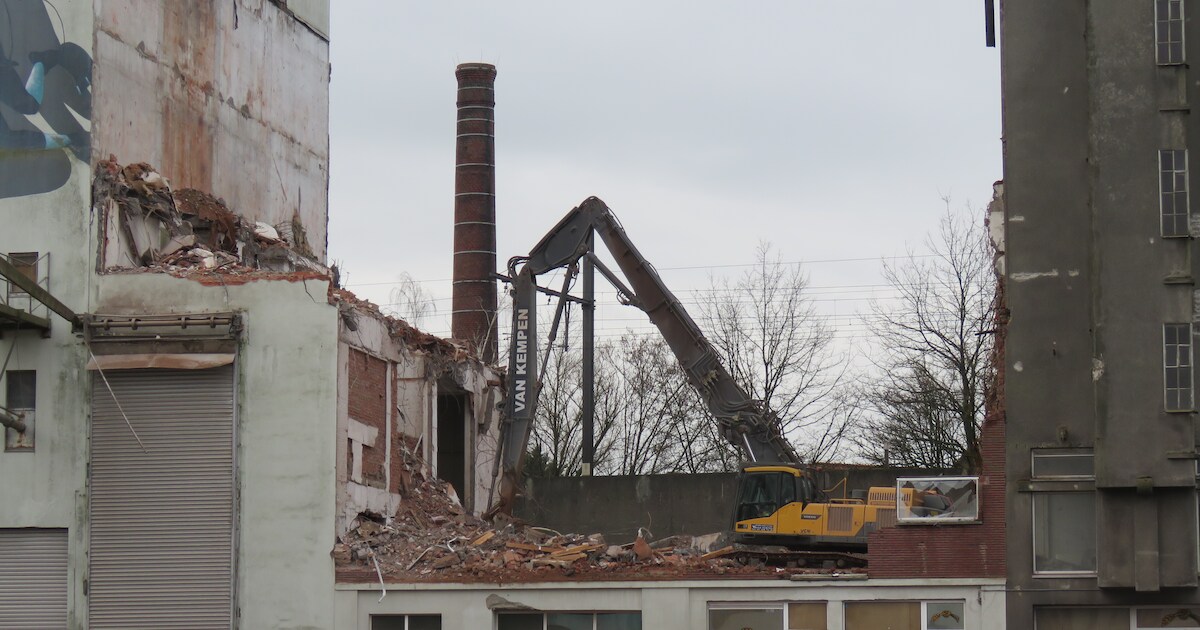 Sloop veevoederbedrijf kondigt transformatie site Hanekop aan ...
