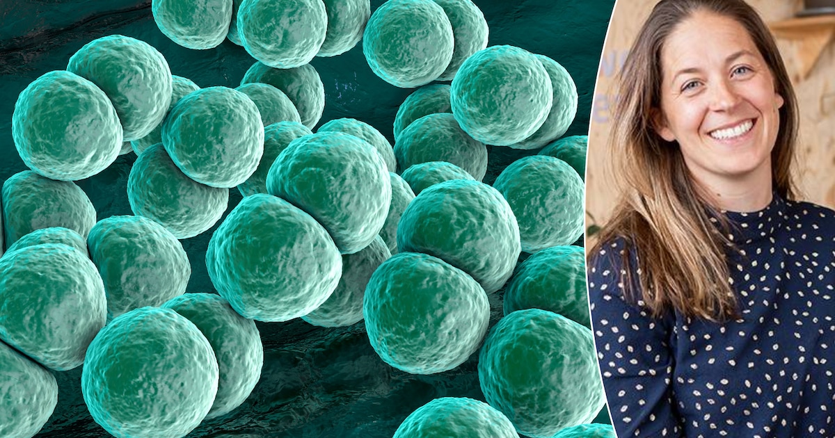 “Mensen waarbij de bacterie het lichaam binnendringt, worden vaak heel ...