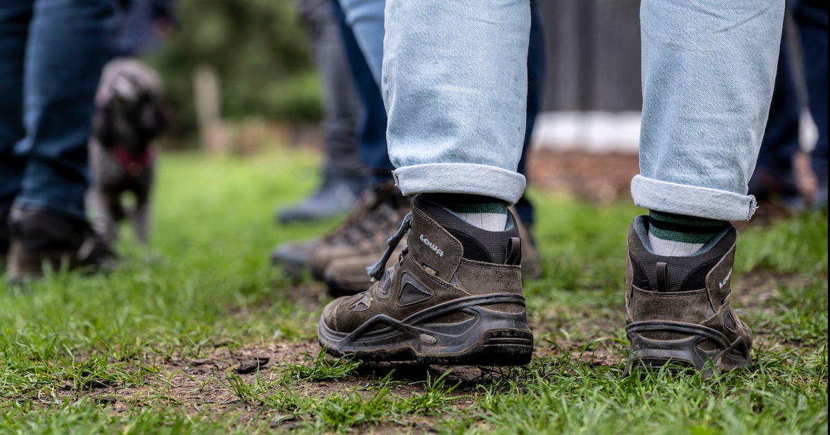 Gratis Zuidrand-wandelapp: speurtocht voor kinderen en gezinnen ...