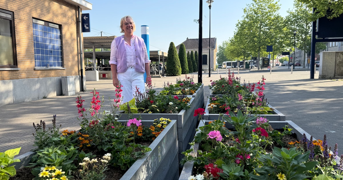 Bijna 100 nieuwe bloembakken moeten straten en pleinen in Menen fleurig ...