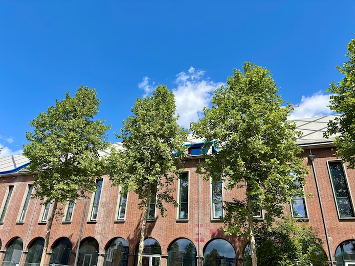 Het aftellen kan beginnen: vernieuwde stadhuis opent begin oktober ...
