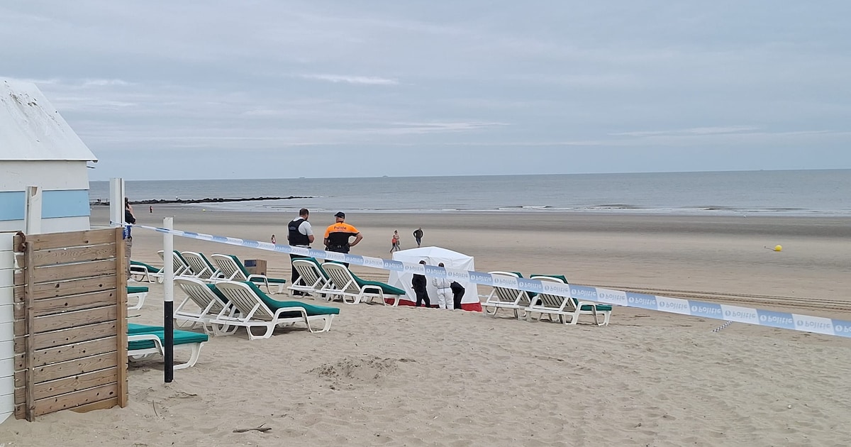 Grepen drie vrienden niet gepast in toen man (37) verdronk in ...