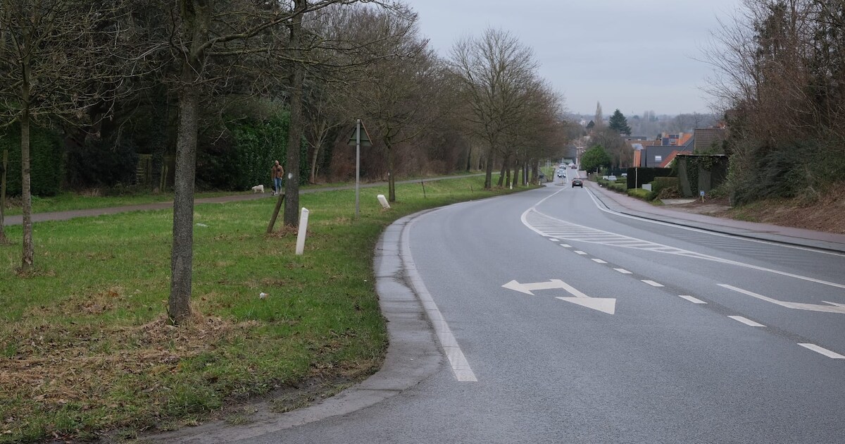 Busbaan moet file aan kruispunt Brusselsesteenweg wegwerken: werken starten maandag | Grimbergen ...