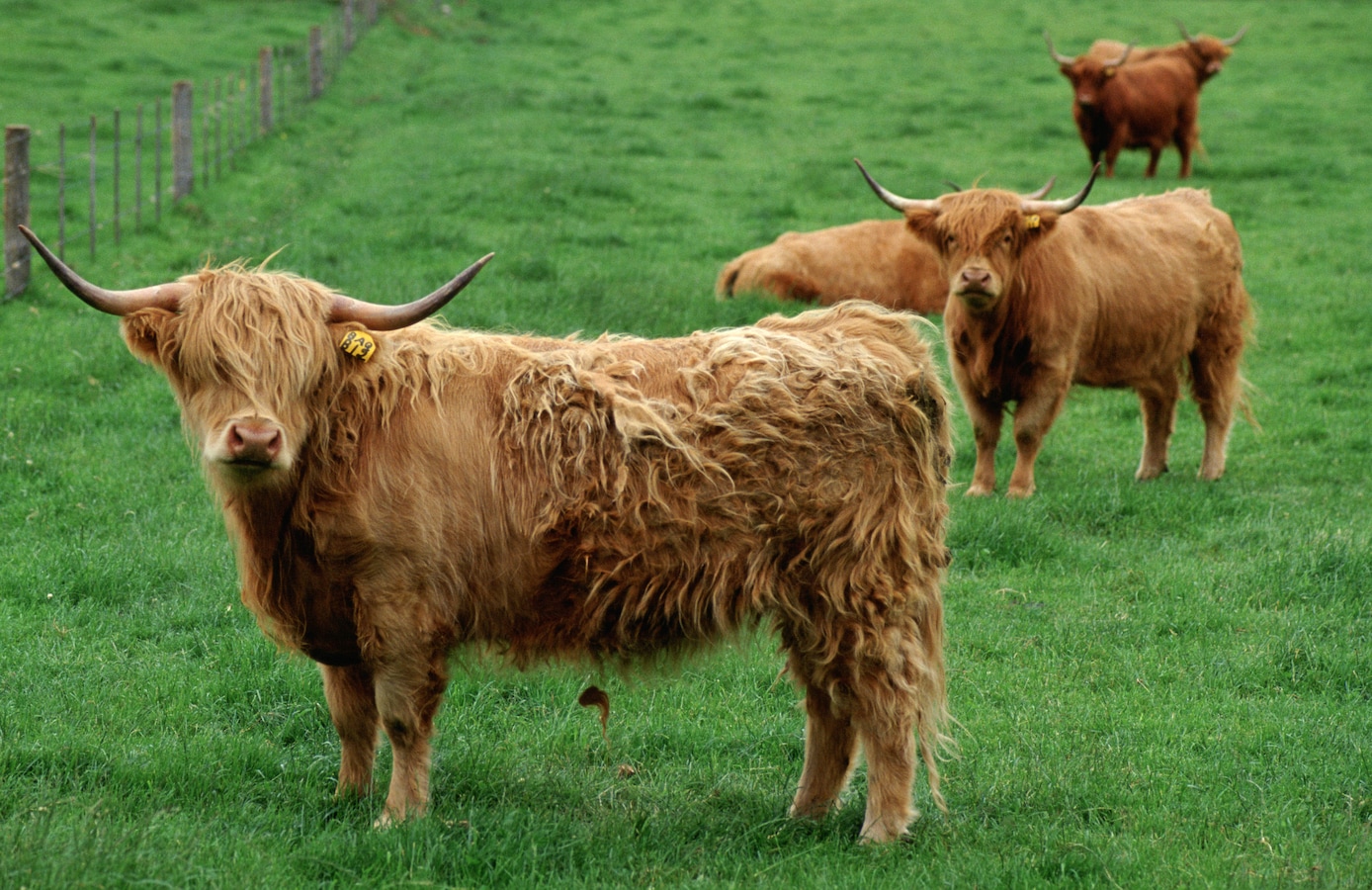 “Papa is ongeneeslijk ziek”: Elodie Gabias wil hem in 2026 nóg ...