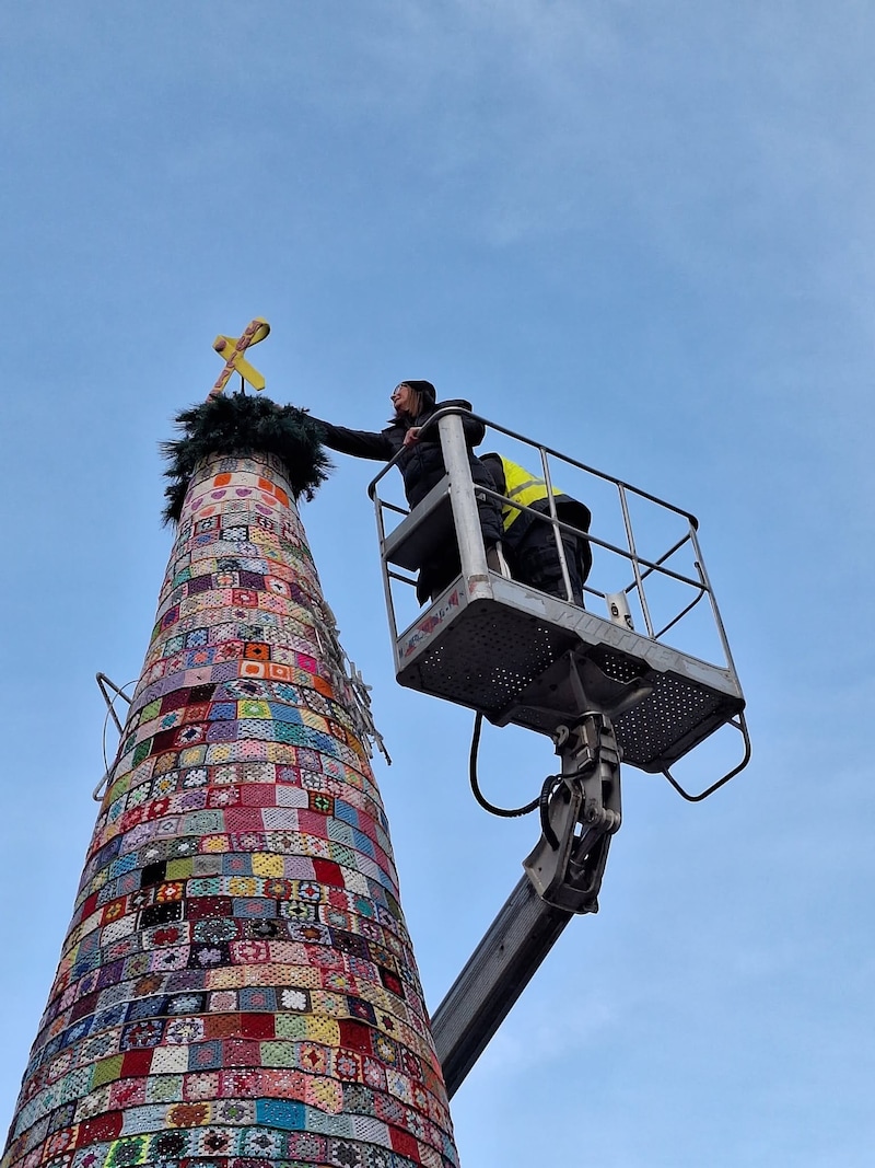 ‘Julie-boom’ met de grootste zorg uit elkaar gehaald in Blankenberge ...