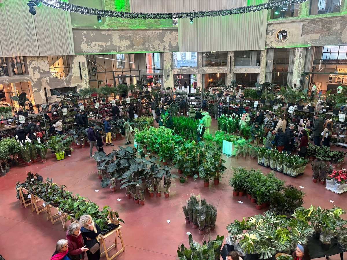 Grote plantenverkoop keert terug naar het Wintercircus: “Drie dagen vol ...