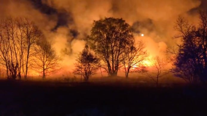 Grote natuurbrand op Mechelse Heide in Maasmechelen onder controle ...
