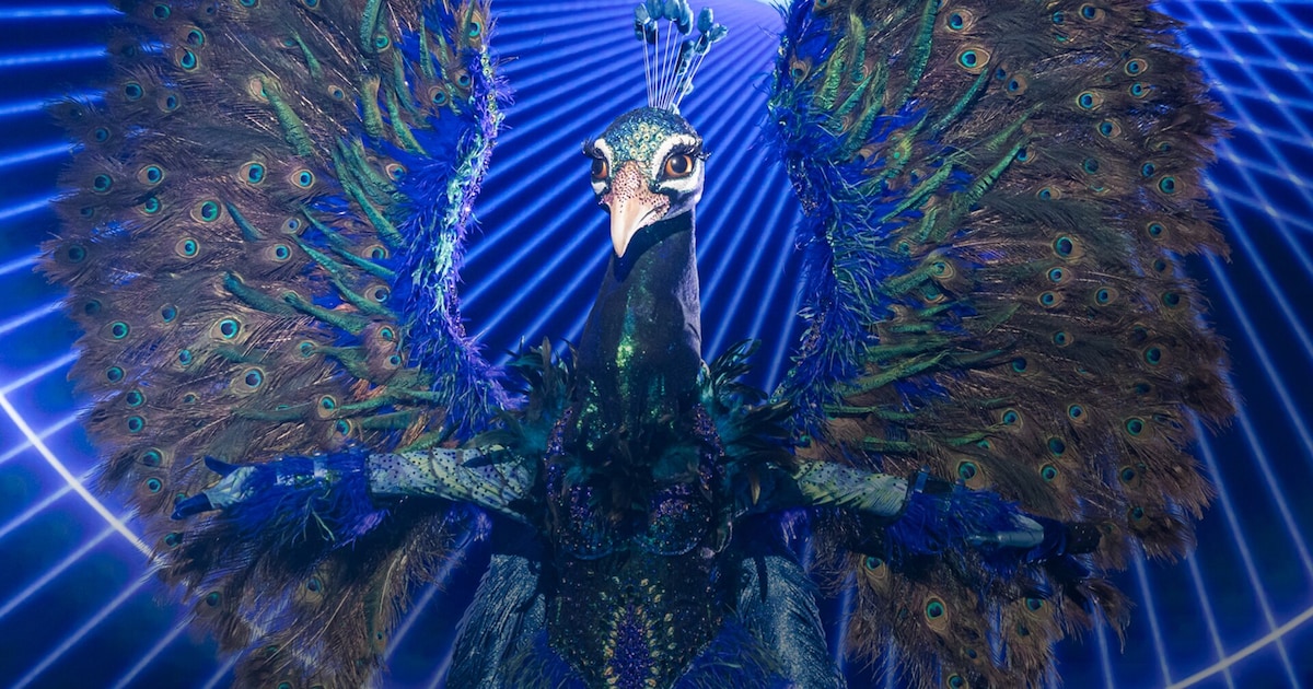 Pauw moet ‘The Masked Singer’ verlaten: “Dit was zo’n mooie ervaring ...