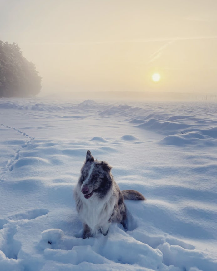 Rummen onder een dik sneeuwtapijt | Geetbets | hln.be