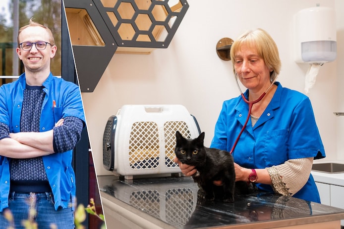 Huisdier in nood? Hier staat de dierenarts 24 uur op 24 klaar: “Vóór de ...