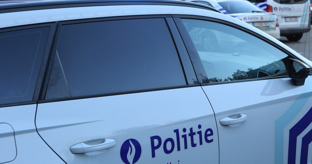 Man die met volle winkelkar wil stelen voor rechter | Landen | HLN.be