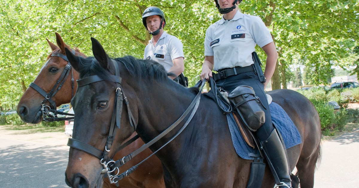 Dit jaar geen ruiters op het nationaal defilé? Cavalerie van de ...