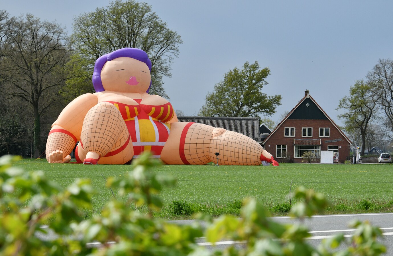 Reusachtige opblaaspop ligt wijdbeens in Nederlands weiland voor ...