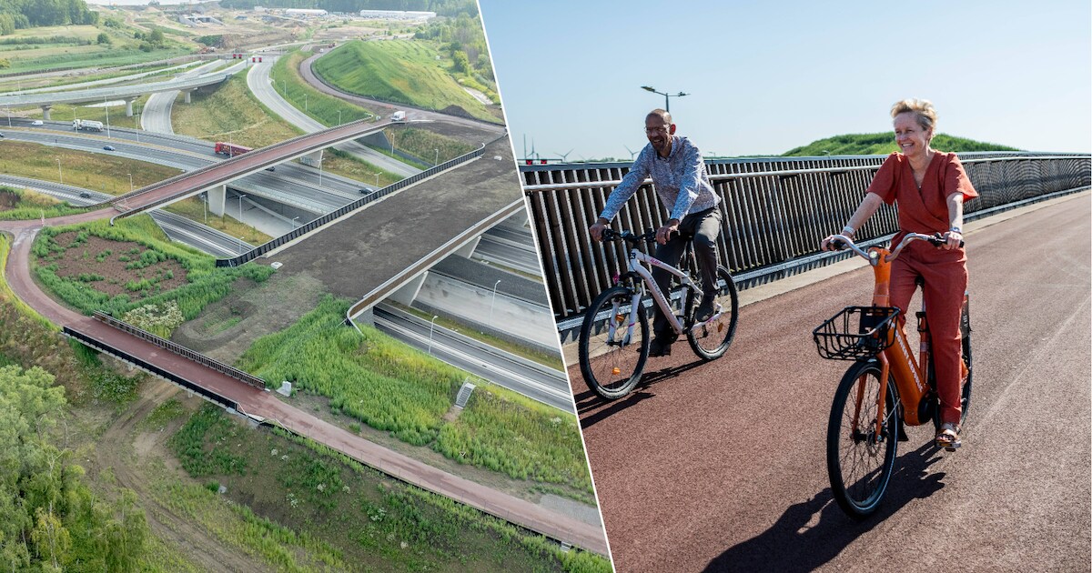 Nieuwe fietsbrug over R1 in gebruik genomen: “Dit maakt fietsen tussen ...
