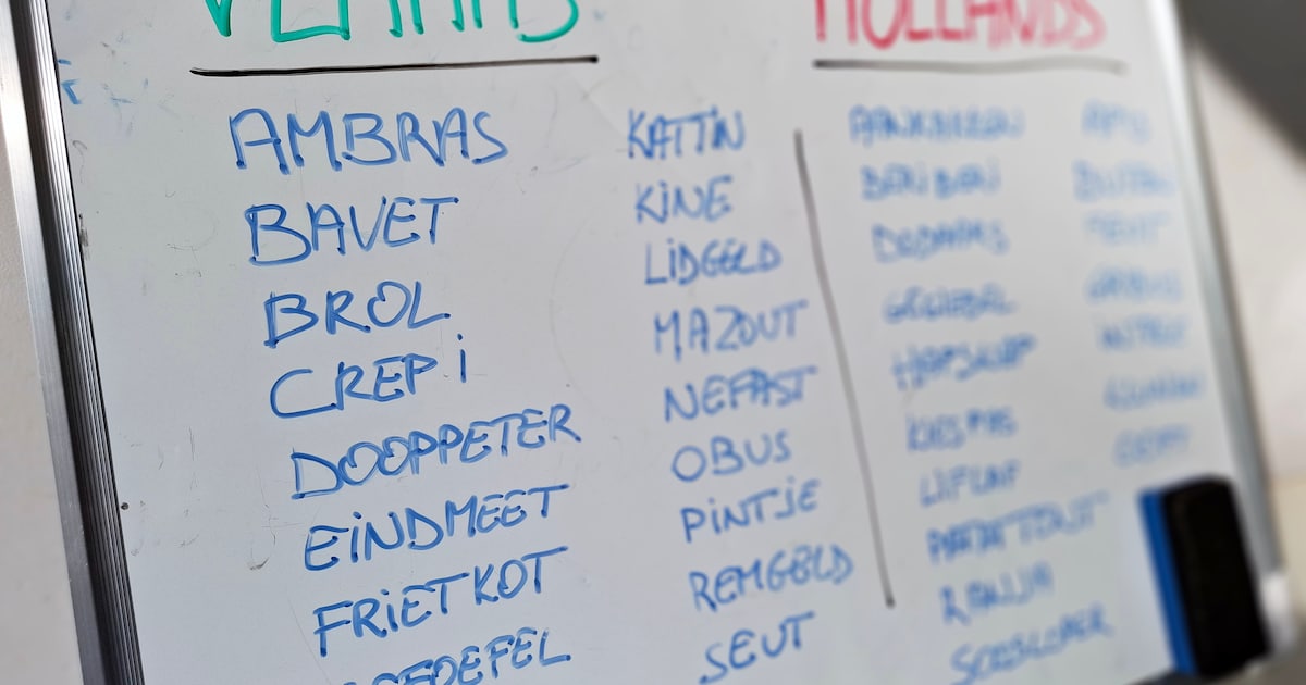 Mét frietkot en preparé: speel nu de Vlaamse versie van Spelwijze ...