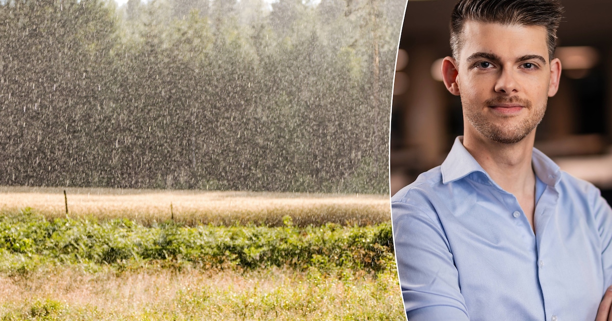 “Kurkdroge natuur krijgt eindelijk broodnodige regen”: wanneer slaat ...