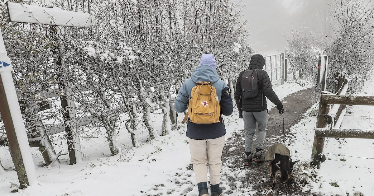 WEERBE­RICHT. Volgende week kans op (smeltende) sneeuw in Vlaanderen ...