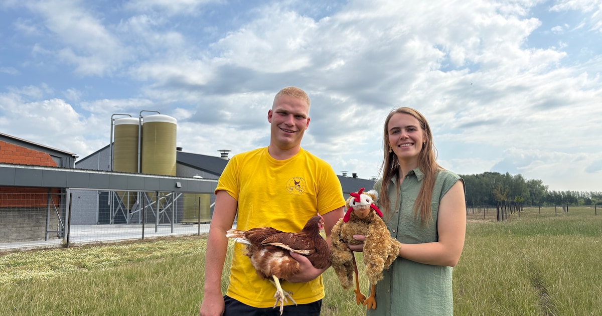 Jonge kippenboeren Laura (25) en Michiel (24) organiseren kinderkampen ...