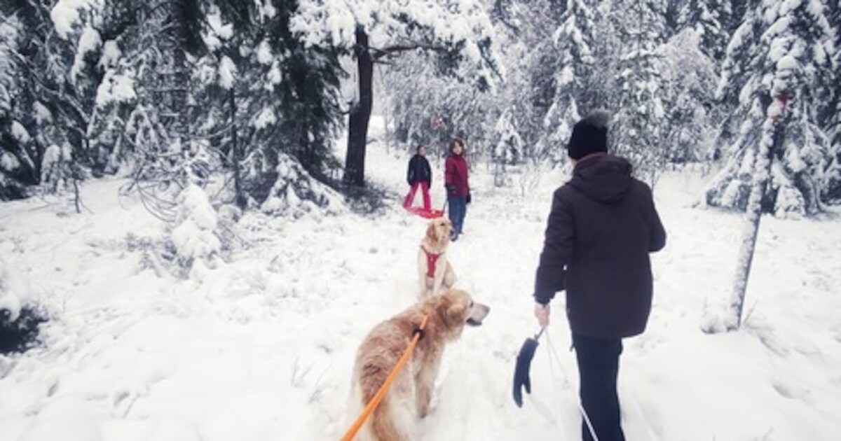 COLUMN. Staf vertrekt: “Bij vertrek weten we nog niet dat ik enkele ...