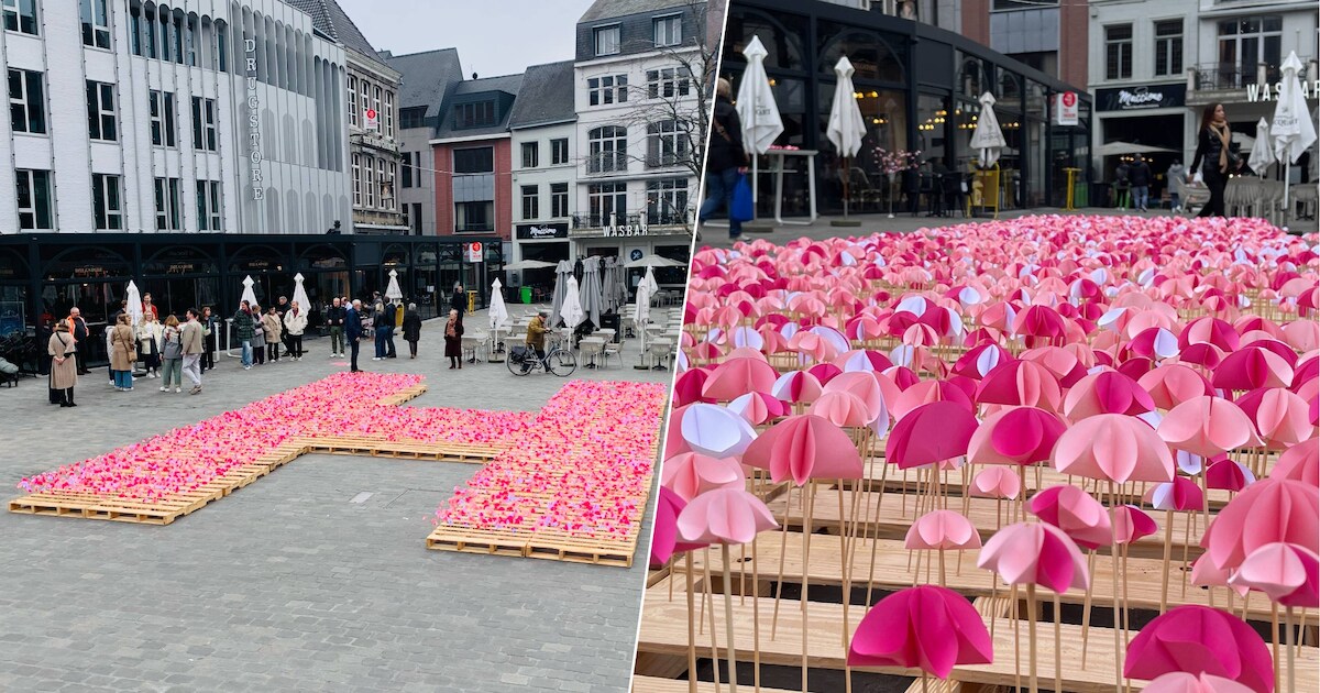 18.000 origami bloemen sieren Grote Markt in Hasselt: “Snel zijn als je ...