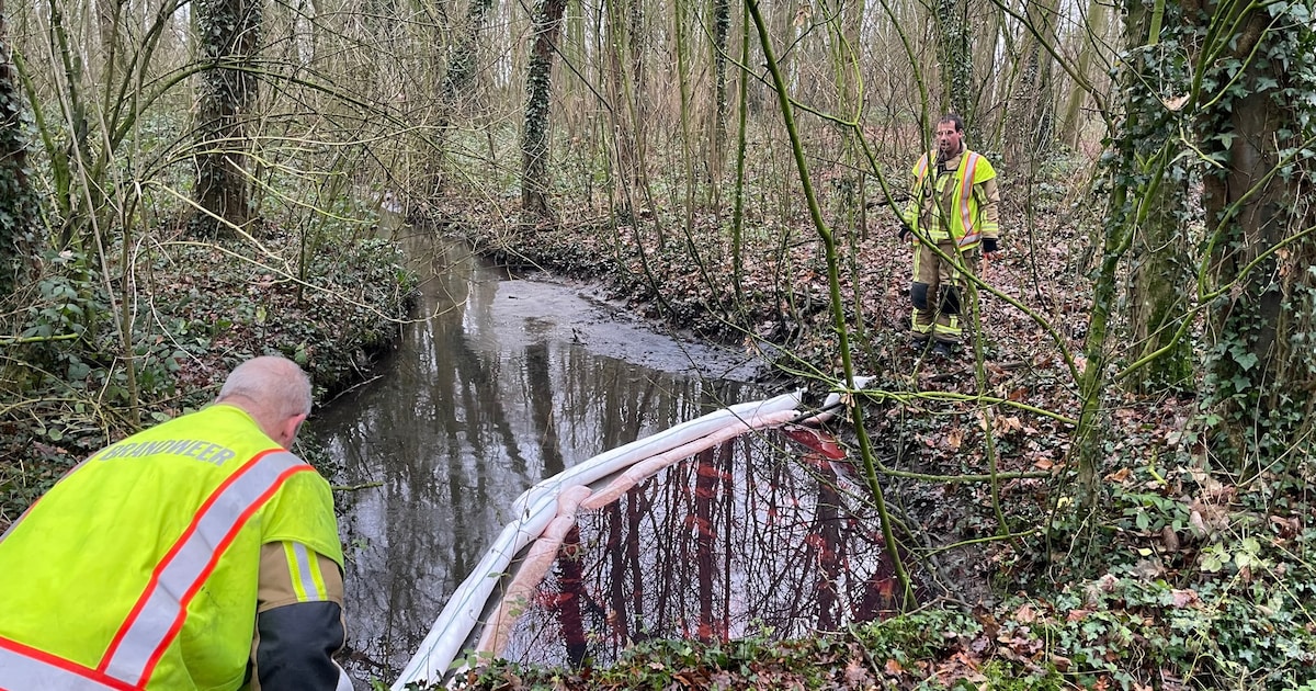 Mazoutvervuiling in Vijverbeek dreigt zich kilometers ver te ...