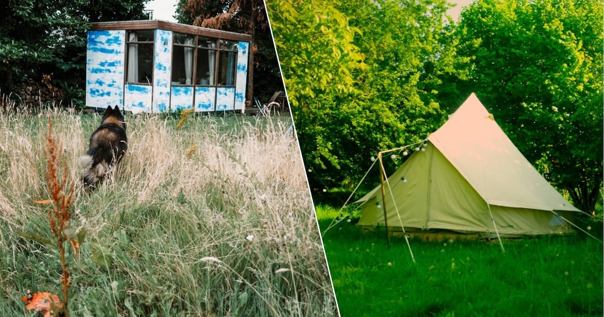 Unieke kampeerplekken in Brussel, de Rand en het Pajottenland: op deze ...