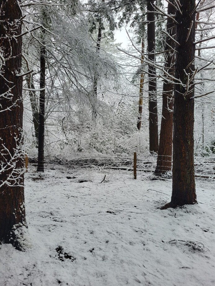 Winterprik zorgt voor witte woensdag in de Noorderkempen | Hoogstraten ...