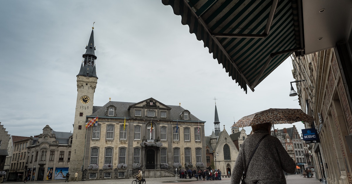 Stad Lier zoekt geëngageerde experten voor nieuwe Kwaliteitskamer ...