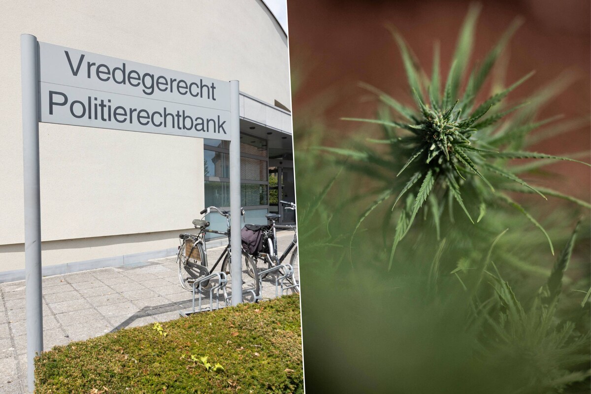 Politierechter spreekt van “drama” na derde veroordeling Peerse vrouw ...