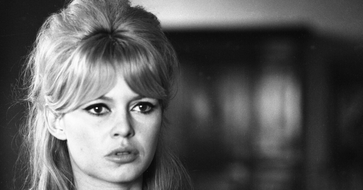 PORTRET. “Toen ik afscheid nam van deze job, redde ik ook mijn leven ...