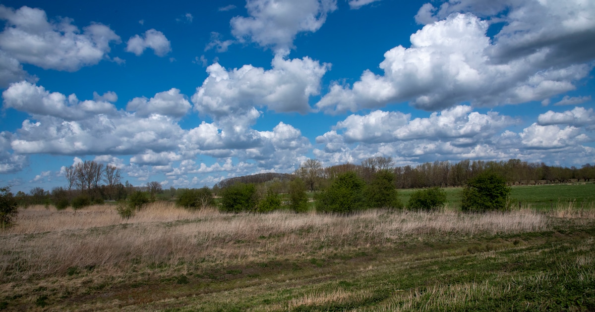 Natuurgebied Kalkense Meersen verkozen tot beste publieke ruimte: “Een ...