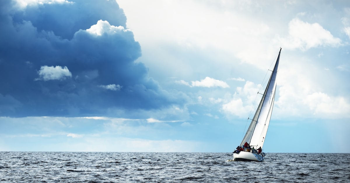 Zeilboot zinkt in 15 minuten na aanvaring met walvis - bemanning gered ...
