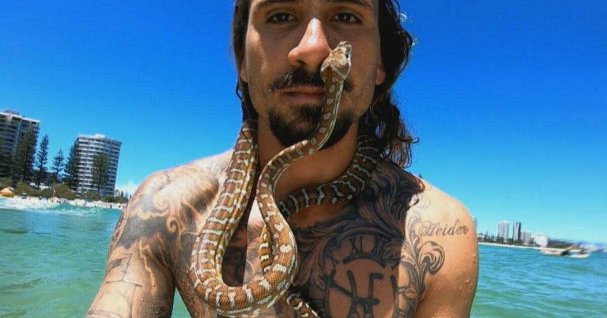 Na de surfende honden, de surfende slang: Australiër krijgt boete nadat ...