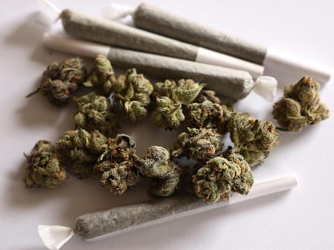 Politie valt binnen bij koppel dat thuis cannabis kweekt... Hun ...