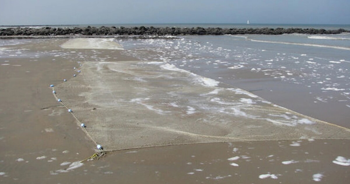 Vergunning om te strandvissen voortaan gratis: “Het kost meer om het ...