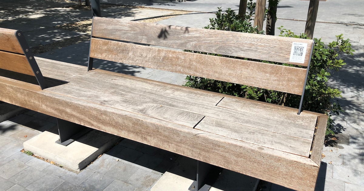 Project Voluit Samen moet samenhang in buurten bevorderen | Kortenberg ...