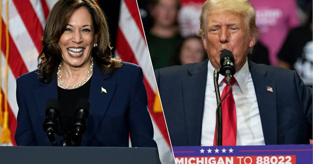 Peiling: nek-aan-nekrace tussen Harris en Trump om presidentschap VS ...