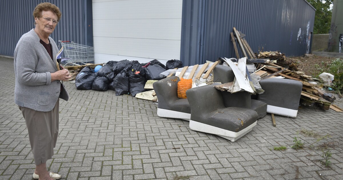 Gigantisch sluikstort op oude fabriekssite | Zele | HLN.be