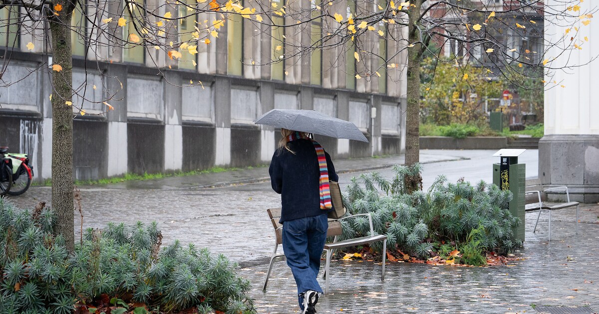 Regenachtig maar zacht begin van de werkweek | Weernieuws | HLN.be