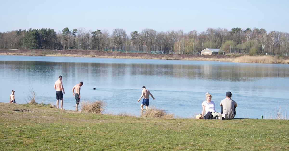 Meer natuur én ontspanning: renovatie De Plas Houthalen-Helchteren van ...